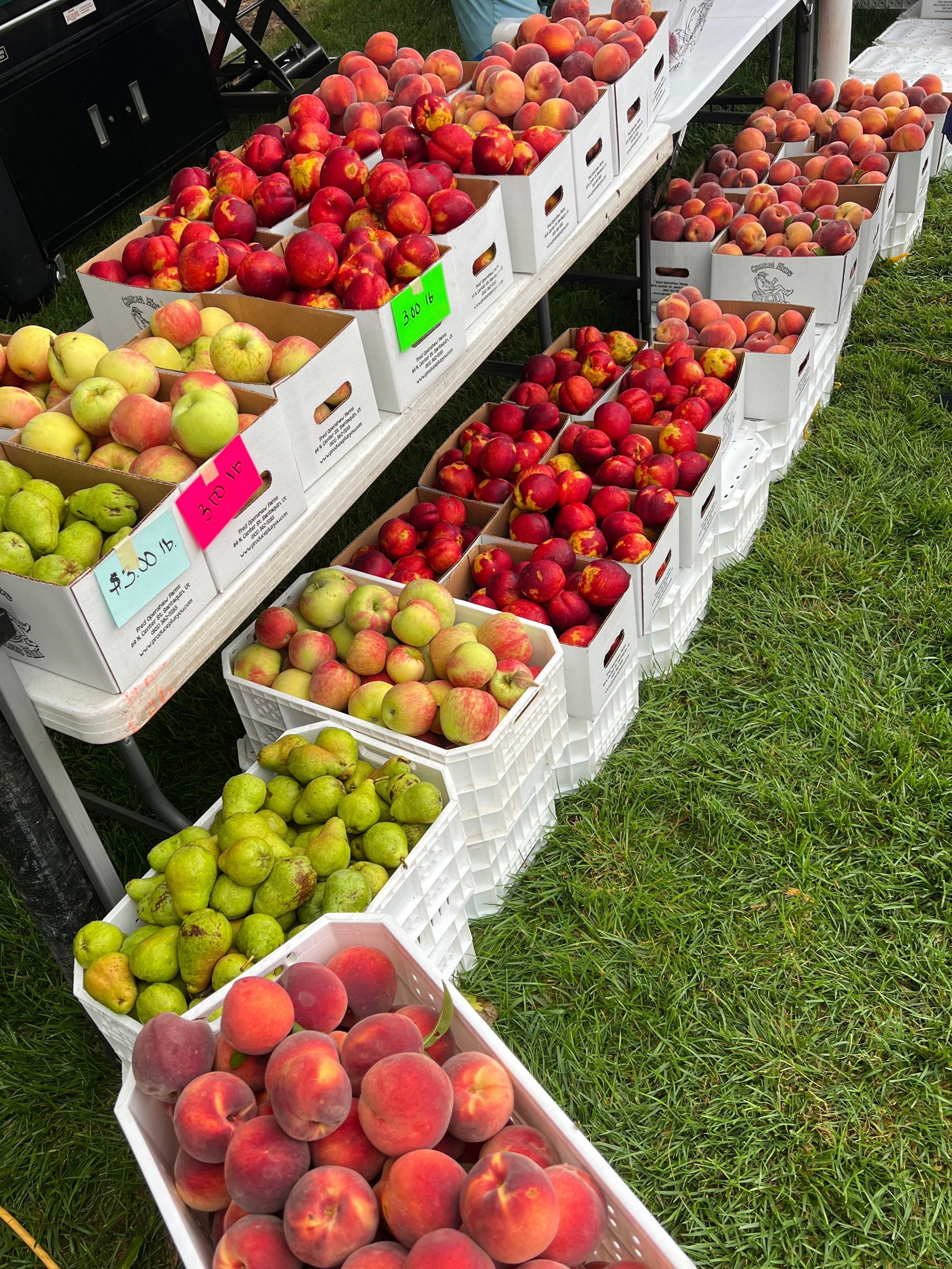 The Downtown Farmers Market